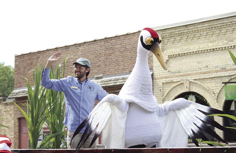 Treinen Farm to dance with the cranes | Enterprise & Press | hngnews.com