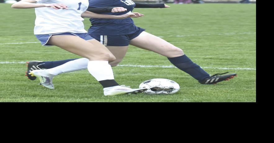 Girls soccer: Ava Schmidt's early goal lifts L-Cats past Phoenix ...