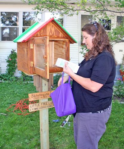 Little Free Library placed in Waterloo neighborhood | Local | hngnews.com