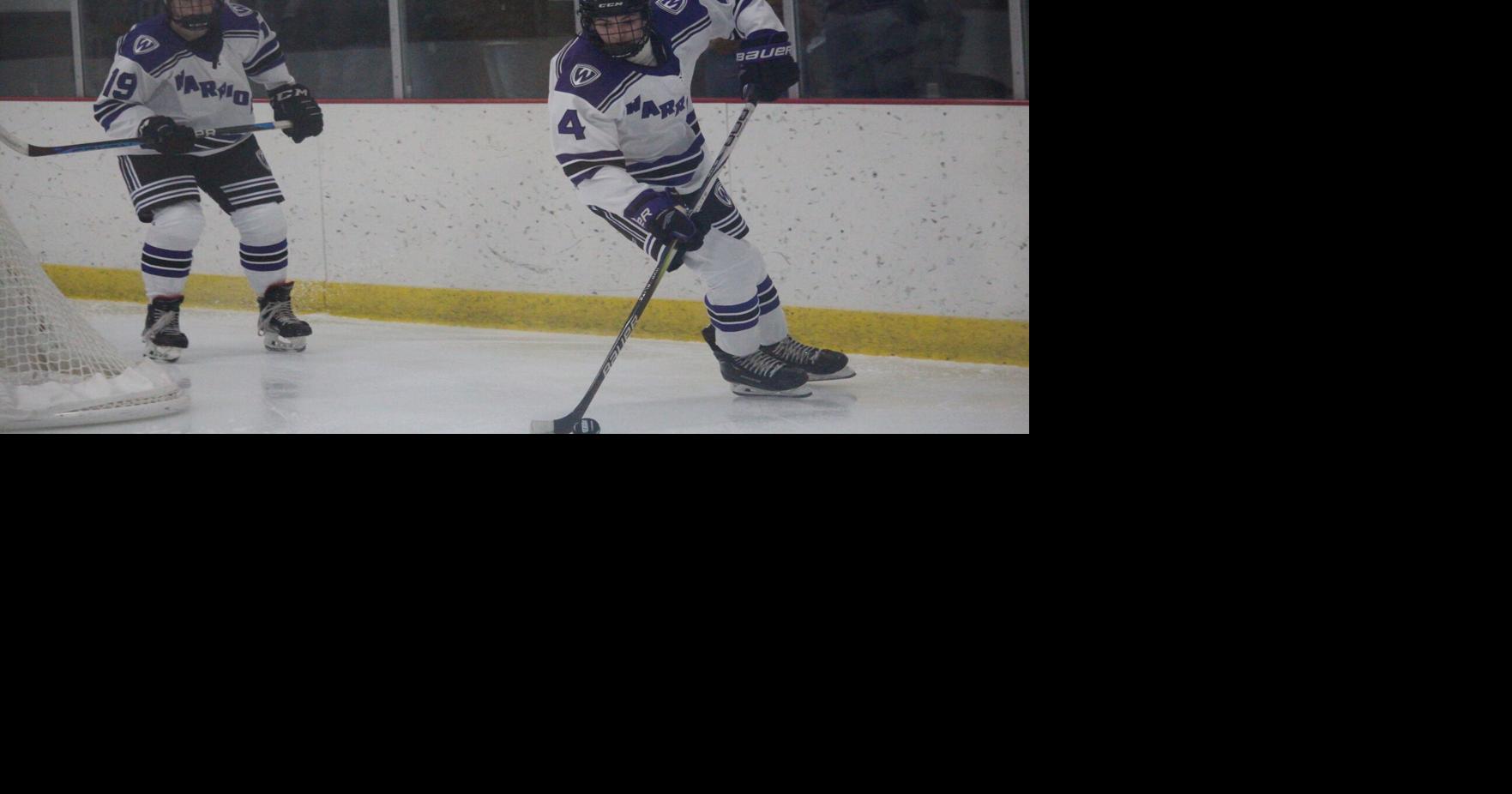 Badger Conference: Waunakee athletes receive all-conference honors ...