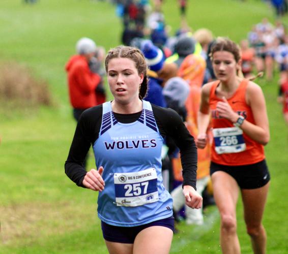 Cardinals and Wolves square off at Big Eight cross country meet | Sun ...