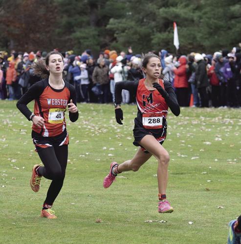 WIAA passes plan to play fall sports in 2020 | Sports | hngnews.com