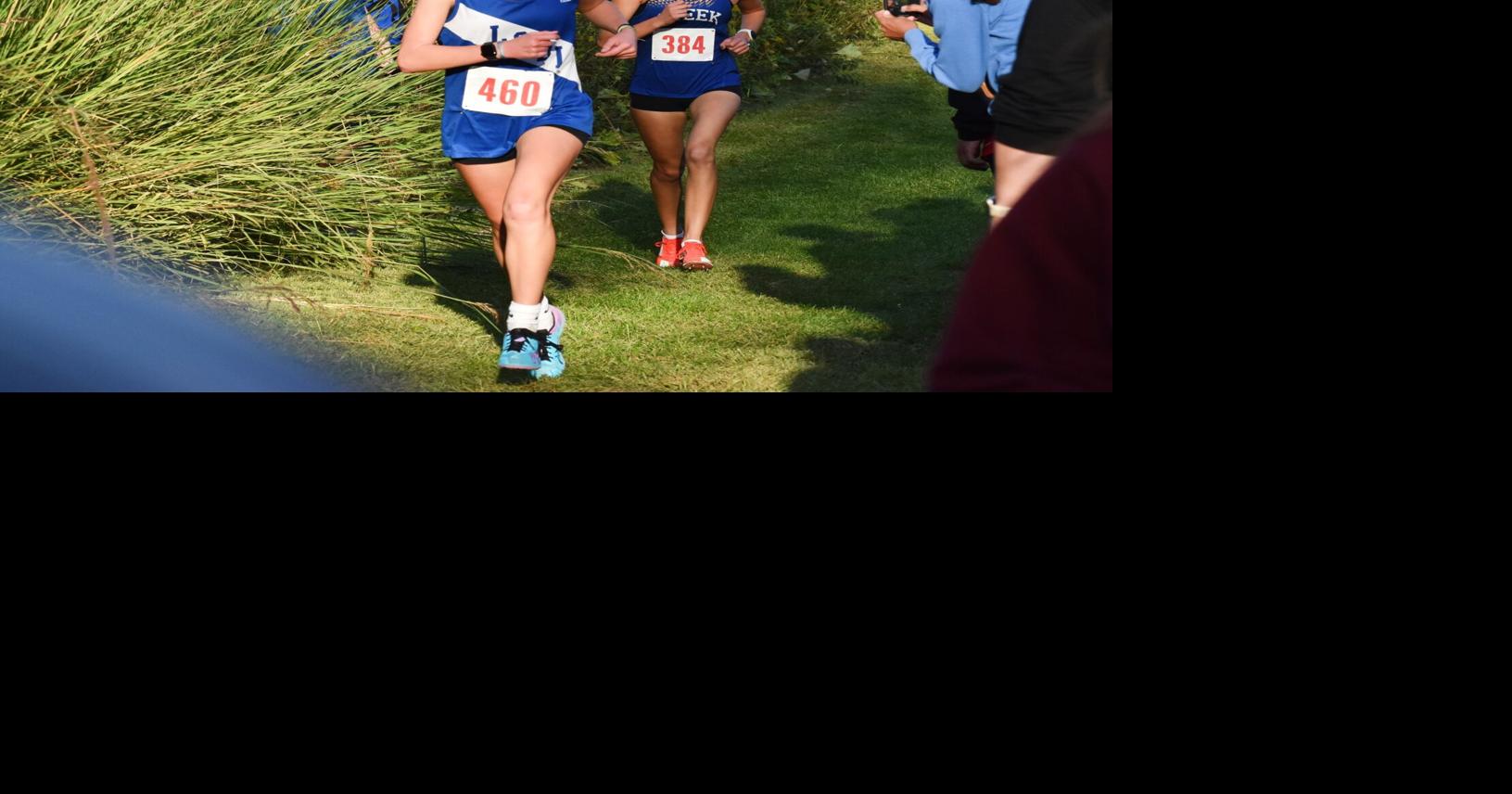 Week in review: Lodi Blue Devils Cross Country | Sports | hngnews.com