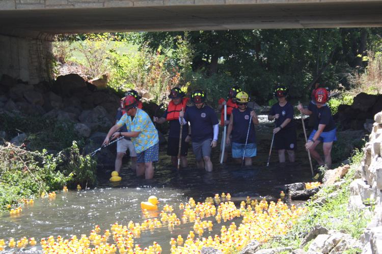 Susie the Duck Day Weekend Events 2023 | Community | hngnews.com