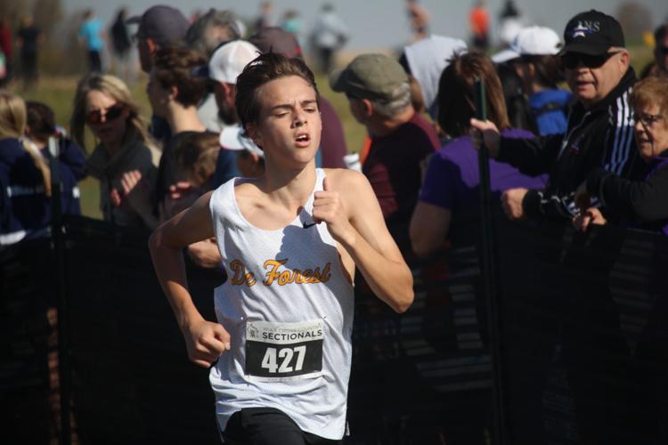 Cross country: Oberg, Bussiere headed to state | Local | hngnews.com