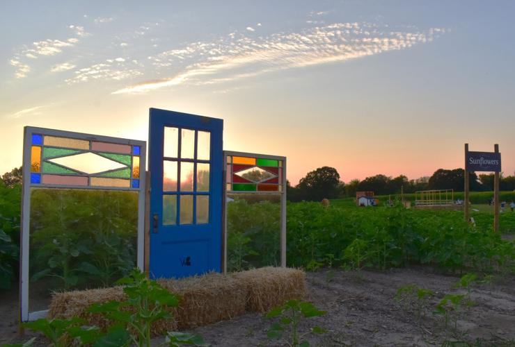 Warm Belly Farm prepares for second year in Cottage Grove | Community ...