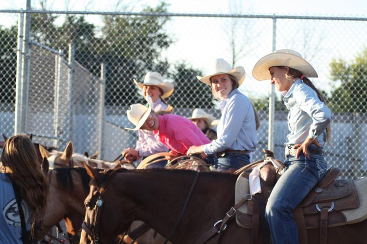 Area volunteers gearing up for Lodi Ag Fair | Local | hngnews.com