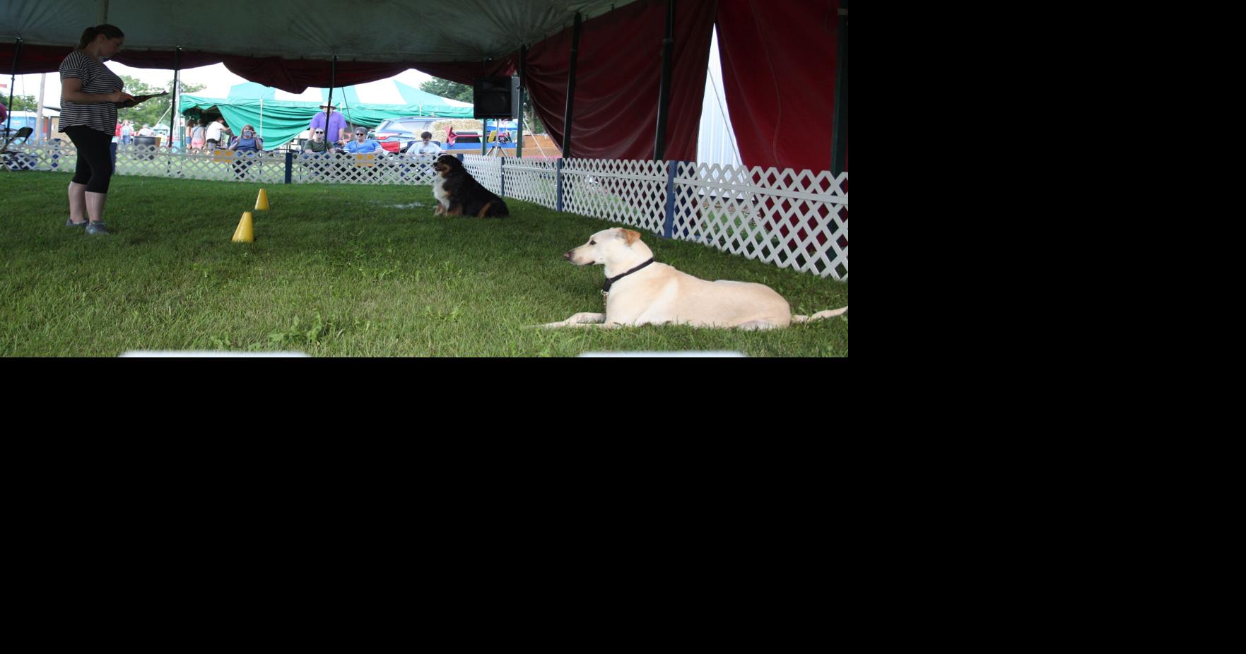 Moments from the 2024 Lodi Agricultural Fair | Local | hngnews.com