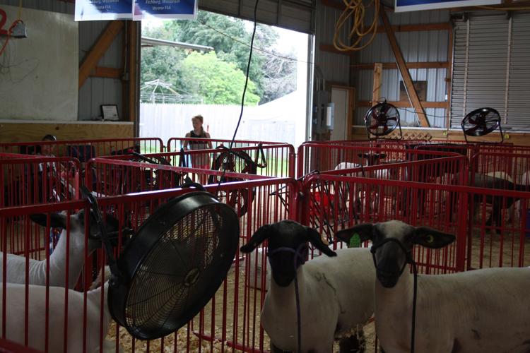 Lodi Agricultural Fair 2025 | News | hngnews.com