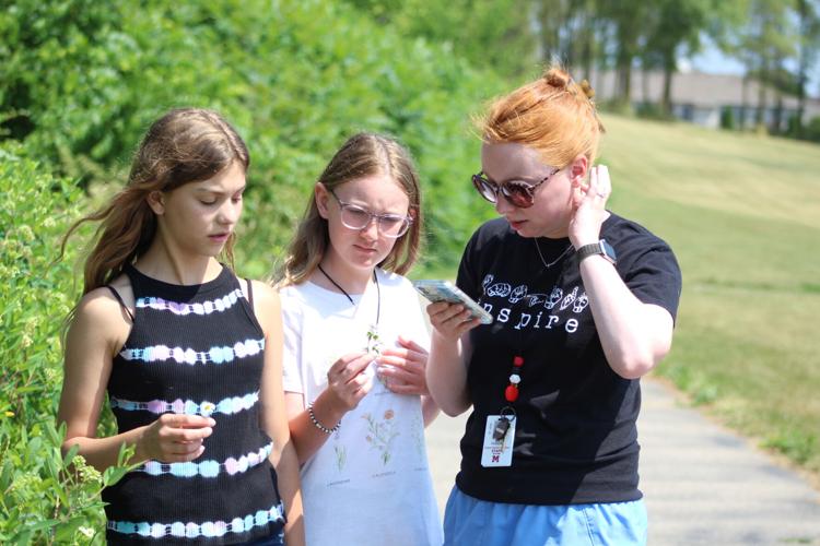 Out of school: Milton summer school students explore local natural ...