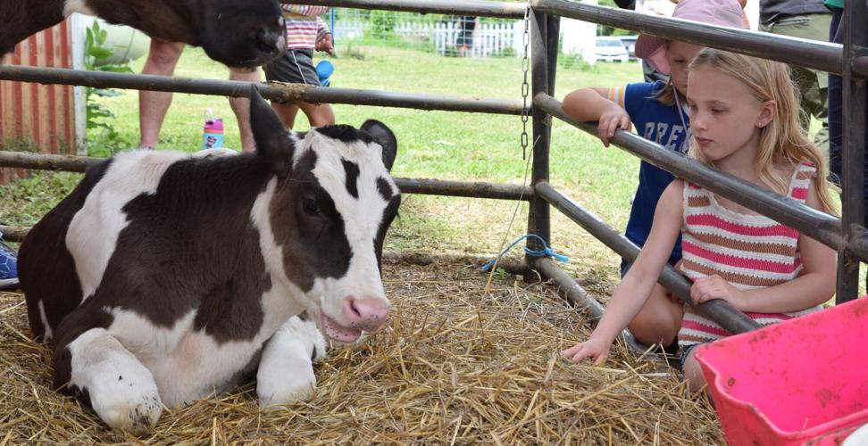 Dane County Breakfast on the Farm draws thousands on beautiful June day ...