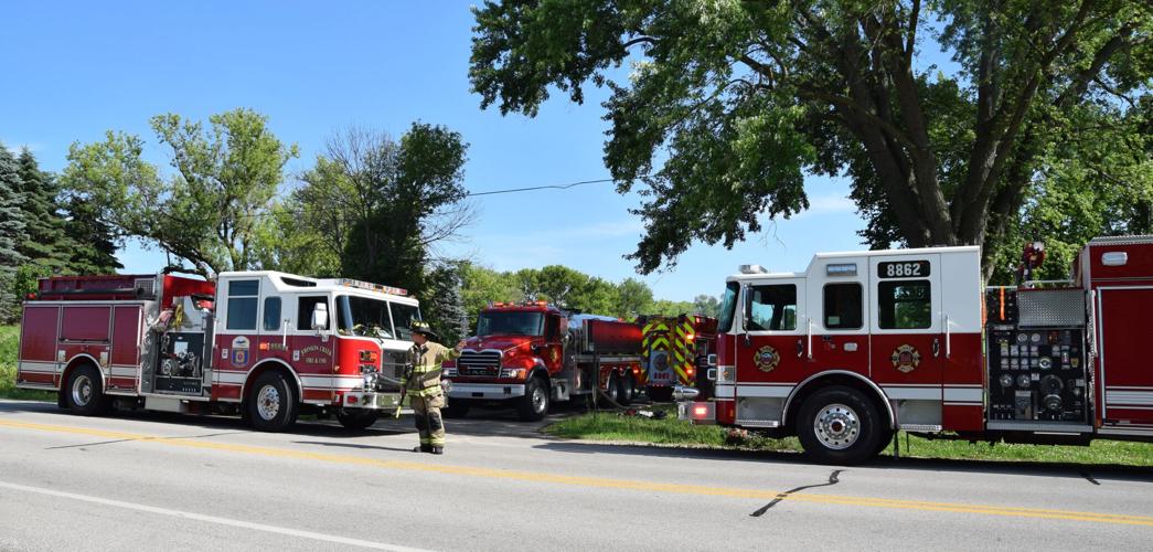 chris johnson tree service