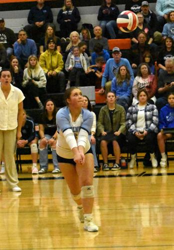 Wolves close volleyball season in sectional semifinals | The Star: Sun ...