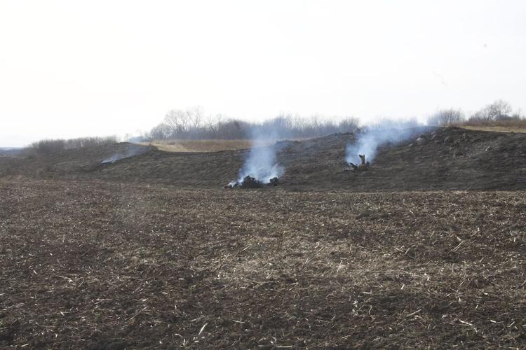 A necessary fire: Westport Prairie undergoes prescribed burn | Local ...