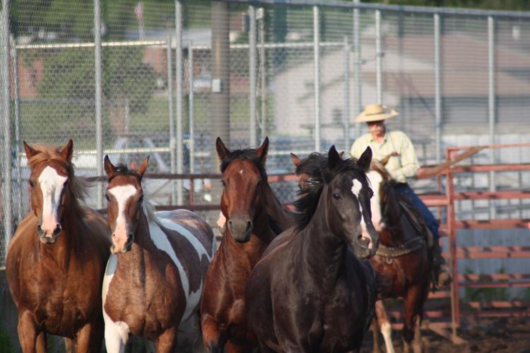 Moments from the 2024 Lodi Agricultural Fair | Local | hngnews.com