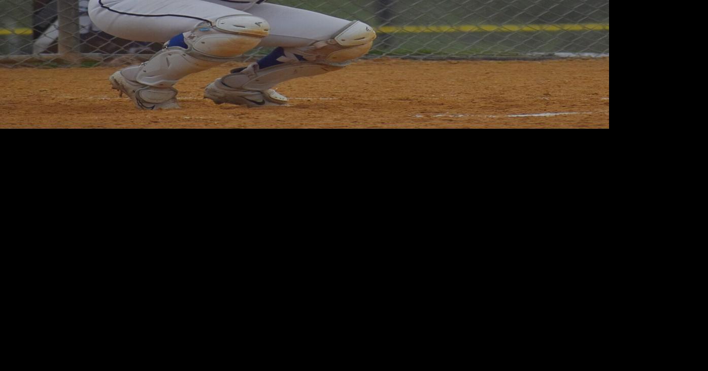 Kayla Roidt to continue softball career at Bryant and Stratton College ...