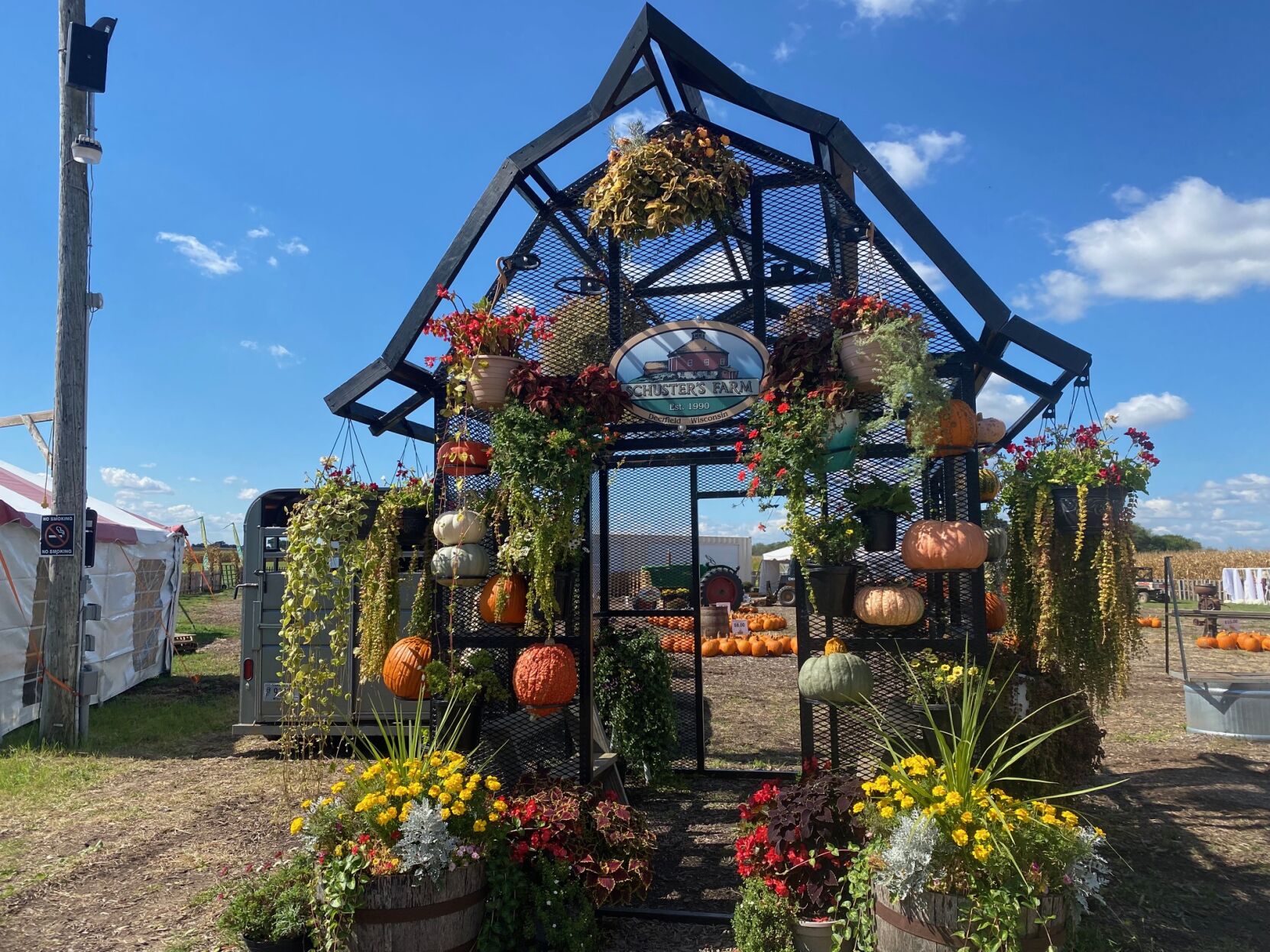 Schuster's Farm opens weekends throughout August for Blooms on the Farm ...