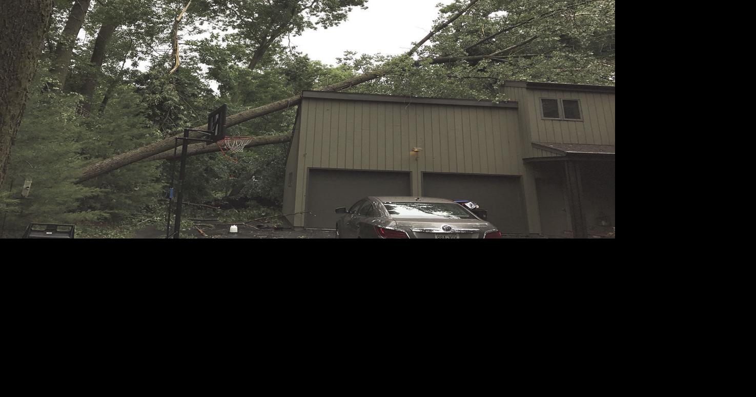 Strong winds topple trees | Local | hngnews.com
