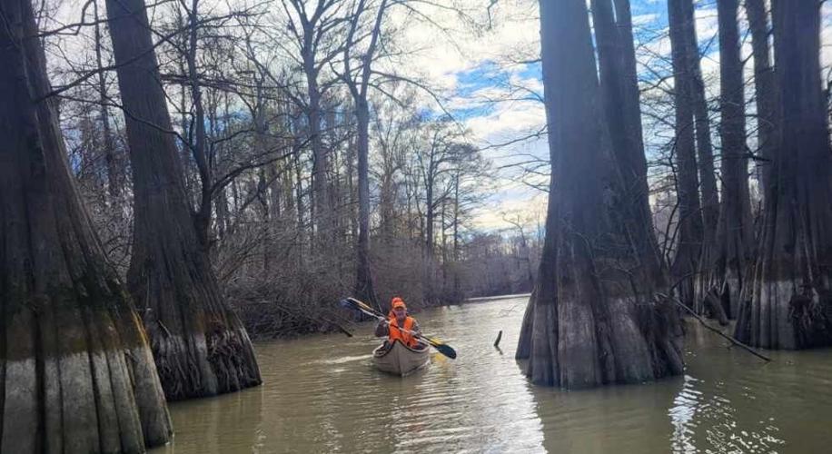 Mississippi hog and deer hunt | Sports | hngnews.com