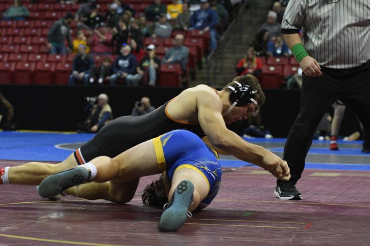 Wrestling: Meister takes fifth at state | Sports | hngnews.com