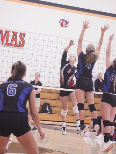 Puma volleyball to play 12 matches in the spring | Poynette Press ...