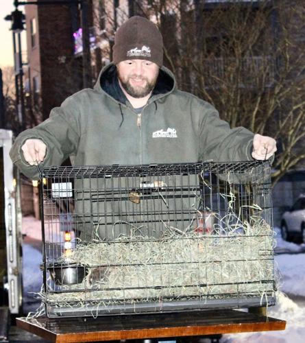 Frozen Fest and Jimmy the Groundhog return to Sun Prairie | Sun Prairie ...