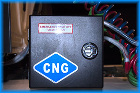 Sheehy continues sustainability haul | Local | hngnews.com