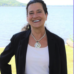 Valencia aims to unseat Plumer in Wisconsin State Assembly | Government ...