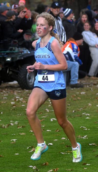 Emma Lagerwall takes on state cross country meet | The Star: Sun ...