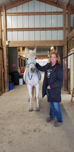 Healing Horses: Triple H Ranch offers therapeutic riding | Local ...
