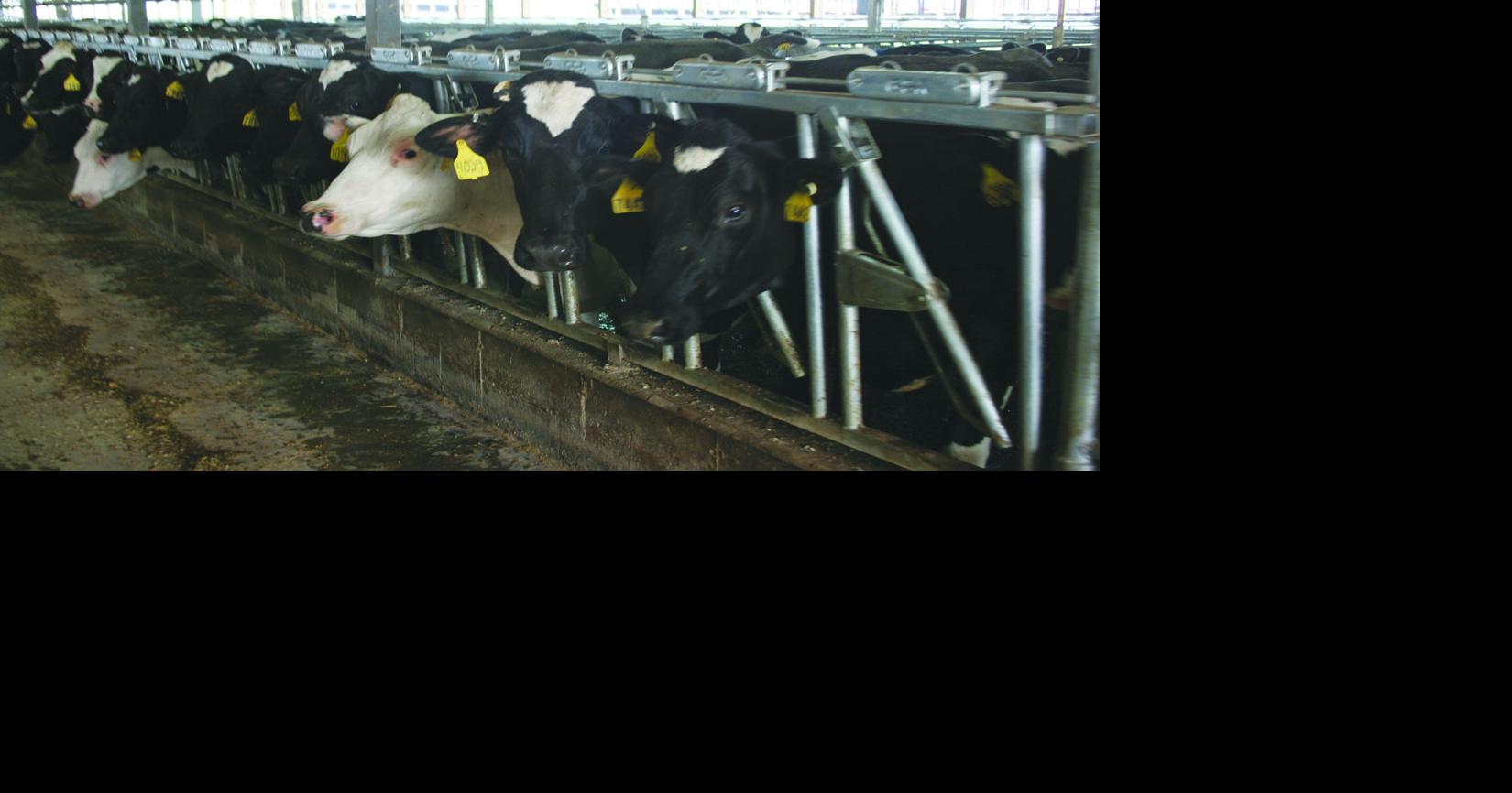 Get ready for Wisconsin Farm Technology Days | Local | hngnews.com