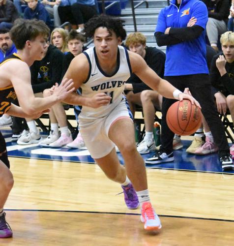 Tavian Crawford, Tyler Haney, Kenyon Miggins to compete in WBCA all-star game | The Star: Sun ...