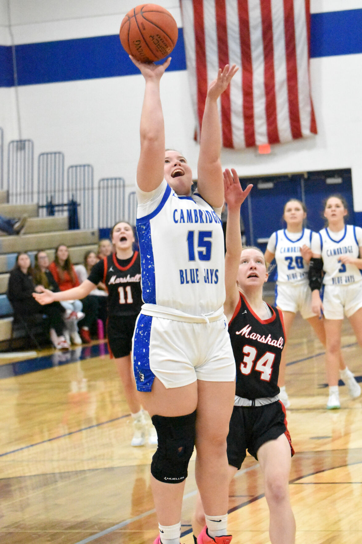 Cambridge girls basketball wins against Marshall | Sports | hngnews.com