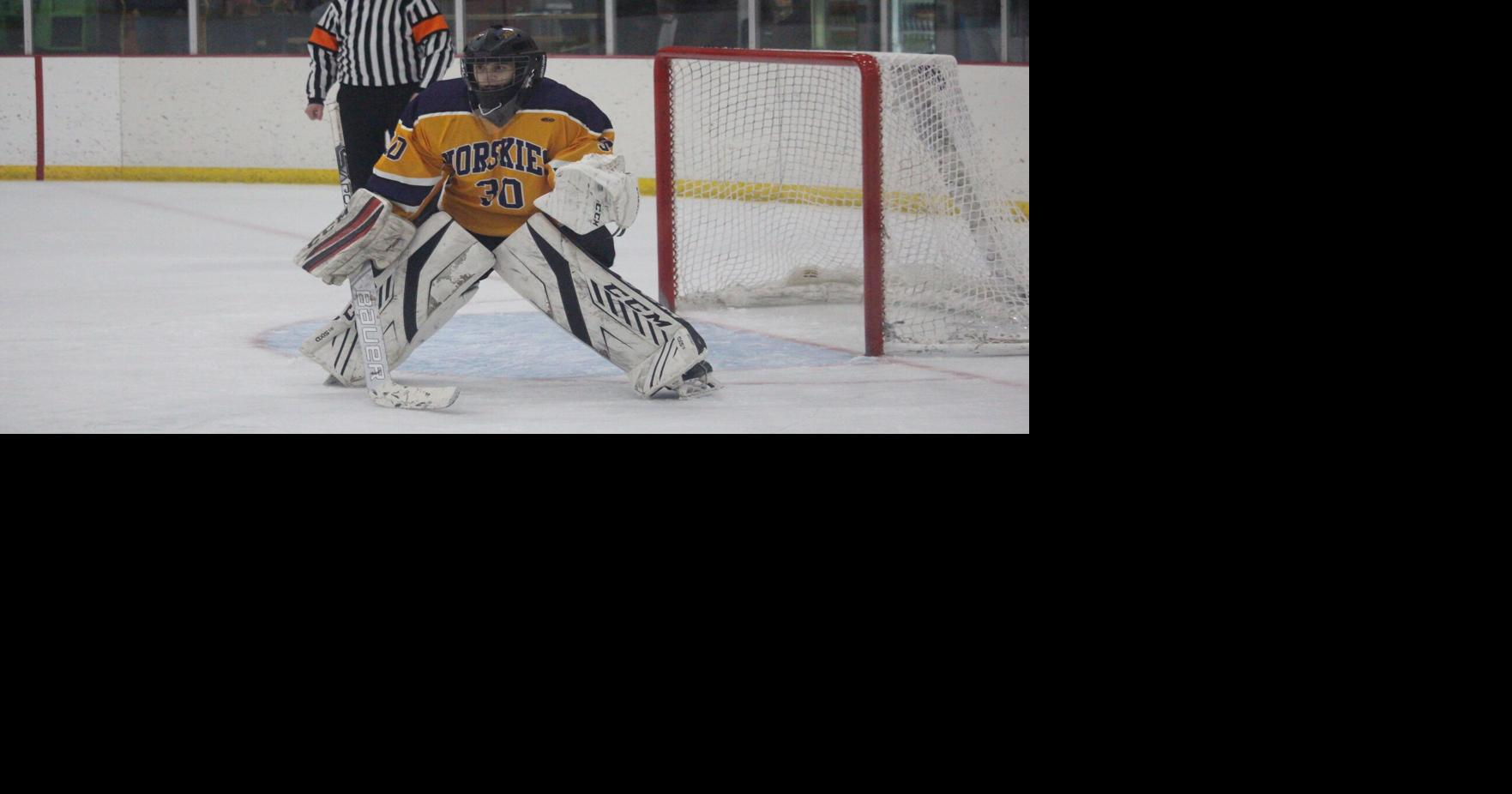 Hockey: DeForest co-op tops Milton for first win; Cougars drop a pair ...