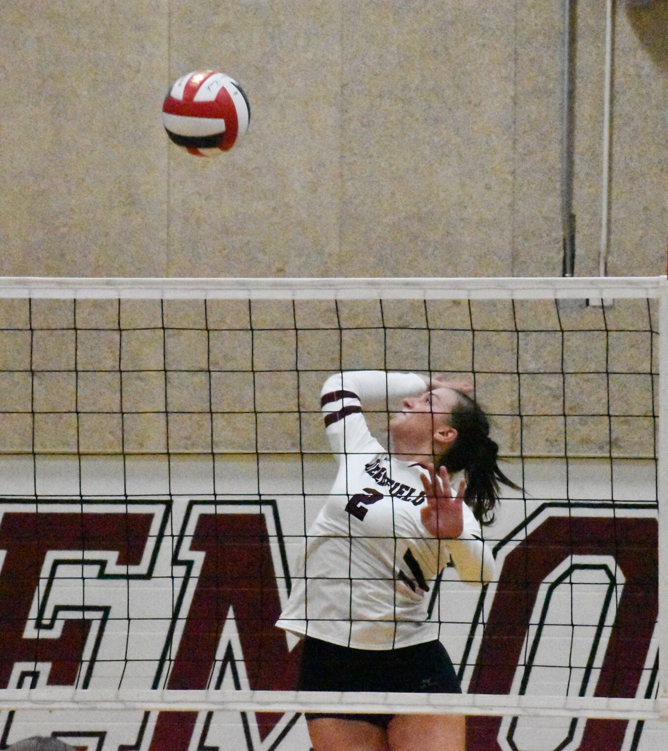 Deerfield volleyball advances to regional championship after win ...