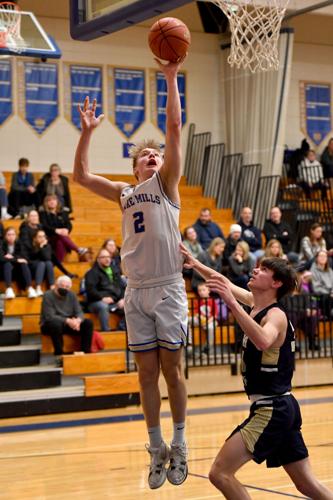 Boys basketball roundup: L-Cats topple Pumas, fall to Phoenix | Sports ...