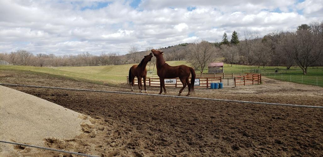 Healing Horses: Triple H Ranch offers therapeutic riding | Local ...