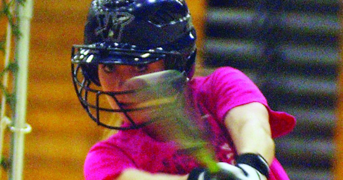 Waunakee softball aiming high | Local | hngnews.com