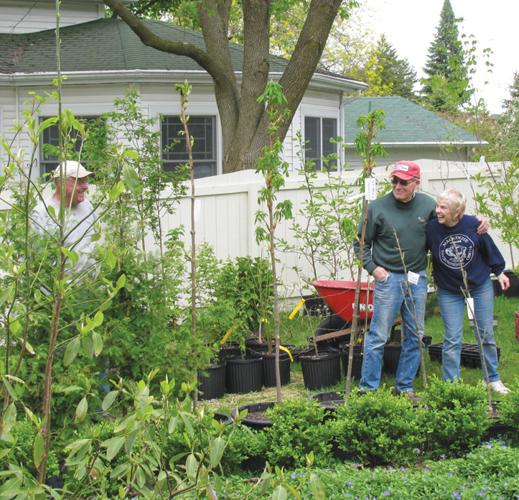 Cambridge-area nonprofit helps add to local tree population | Regional ...