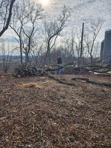 Maunesha River Alliance volunteers give river some TLC in Marshall ...