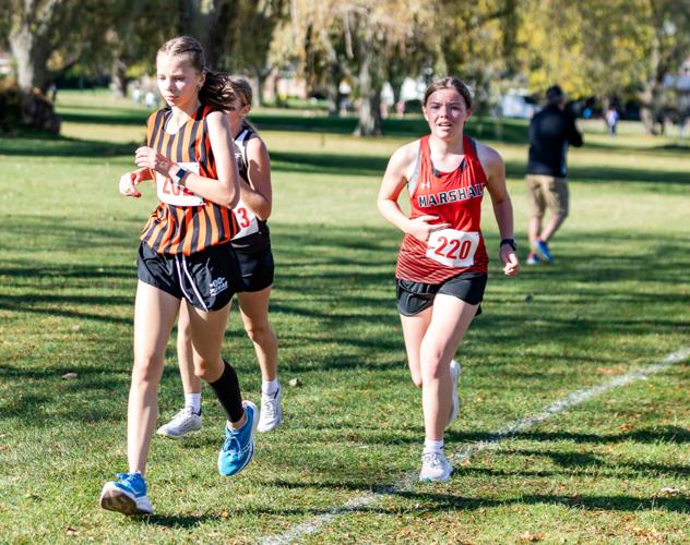 Marshall girls finish as conference runners-up | Waterloo / Marshall ...