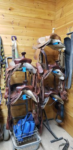 Healing Horses: Triple H Ranch offers therapeutic riding | Local ...