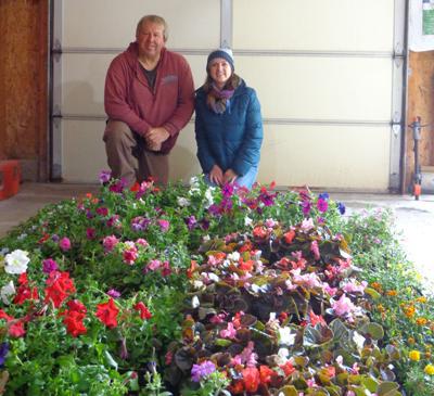 Concert series to begin at Waterloo Firemen's Park | Local | hngnews.com