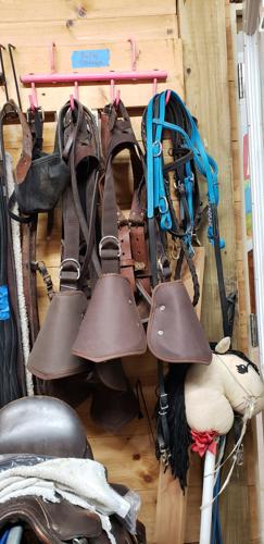 Healing Horses: Triple H Ranch offers therapeutic riding | Local ...