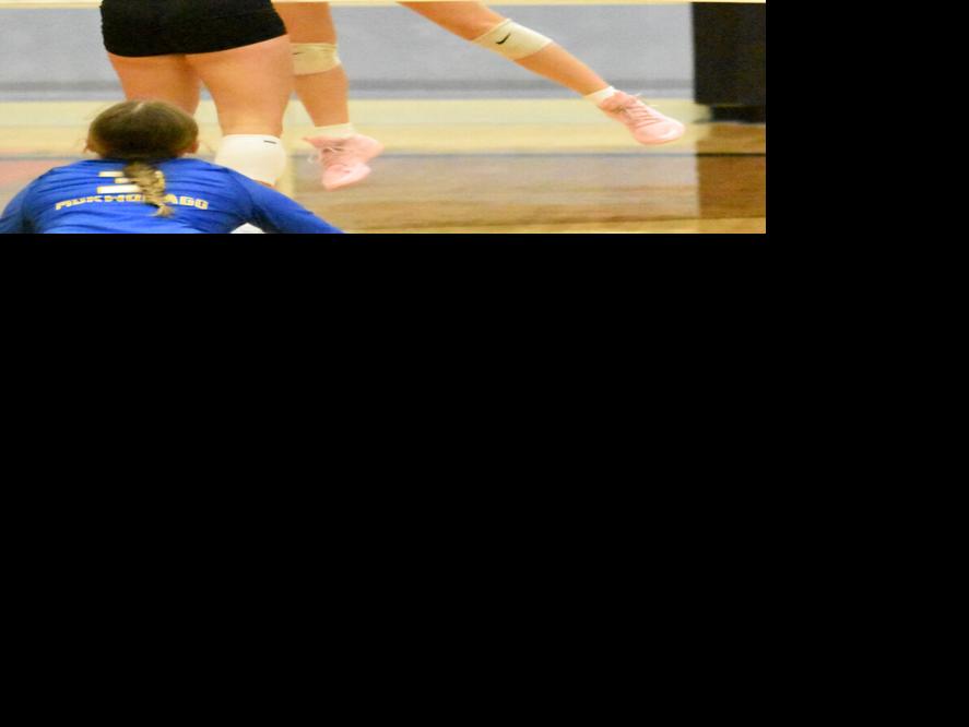 Wolves close volleyball season in sectional semifinals | The Star: Sun ...