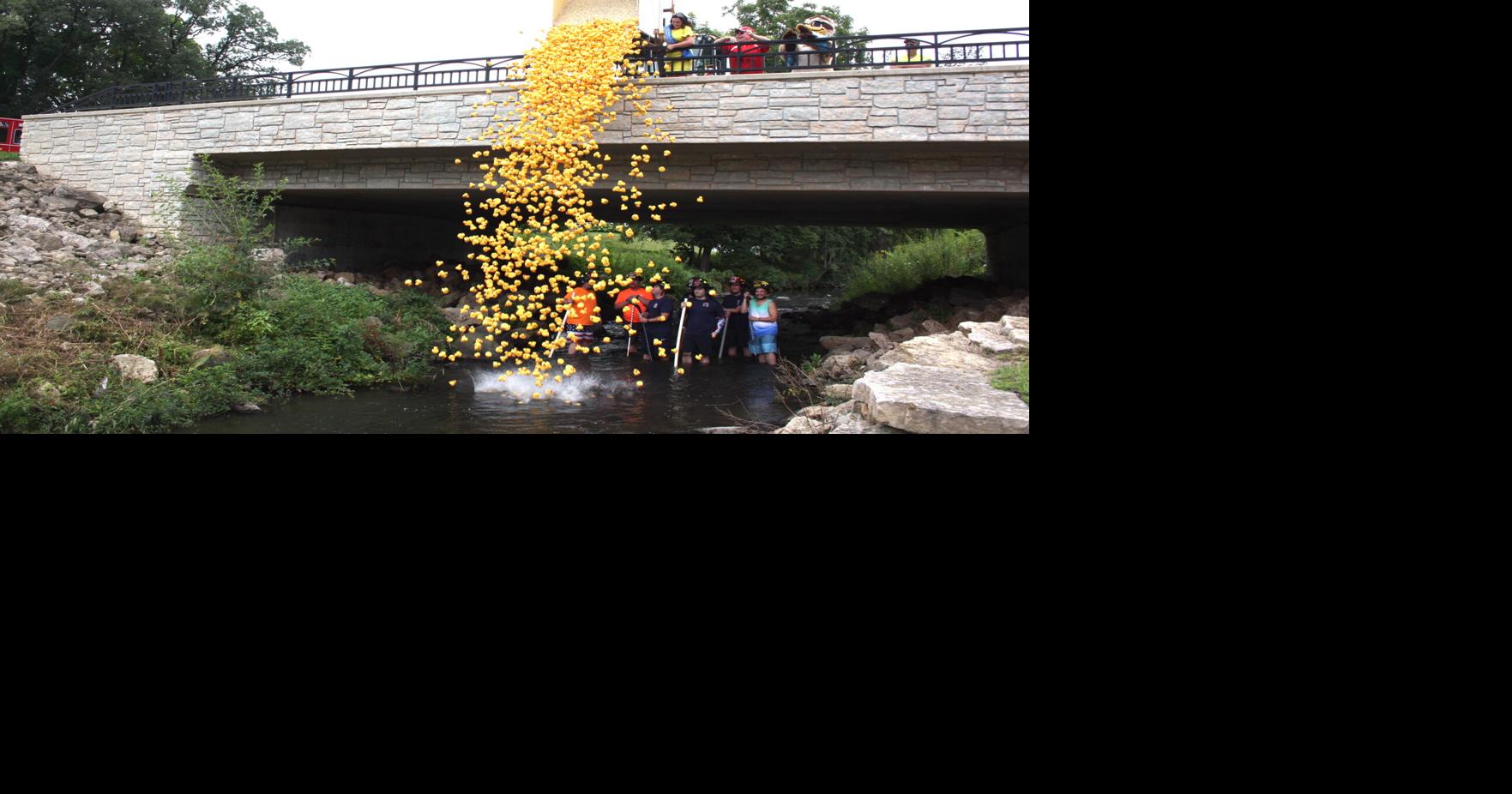 Lodi prepares for 40th Annual Susie the Duck Day | Local | hngnews.com