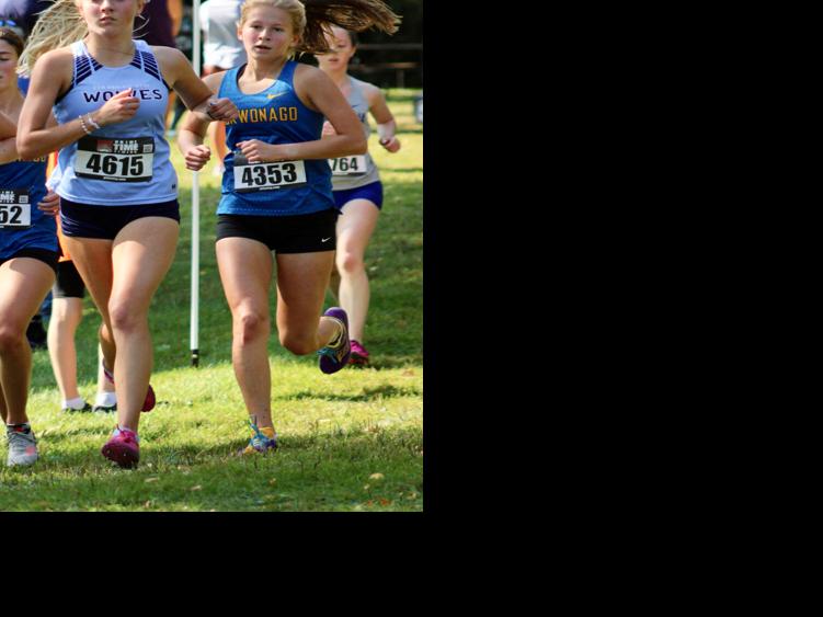 Wolves run at Pete Nielsen Laser relays | Sun Prairie Star | hngnews.com