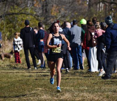 Monona Grove cross country: Mackenzie Babcock wins sectional, girls ...