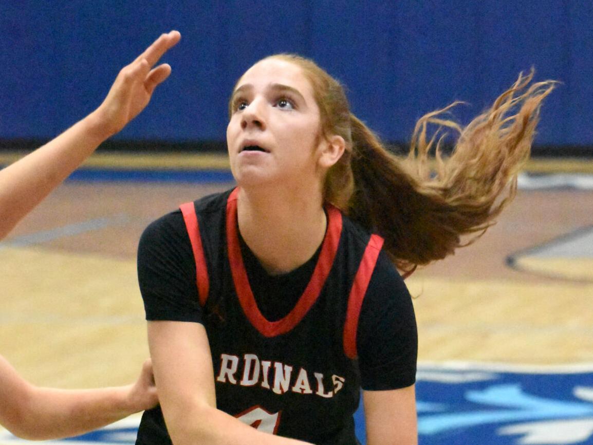 Cardinals outlast Wolves in double overtime | The Star: Sun Prairie ...