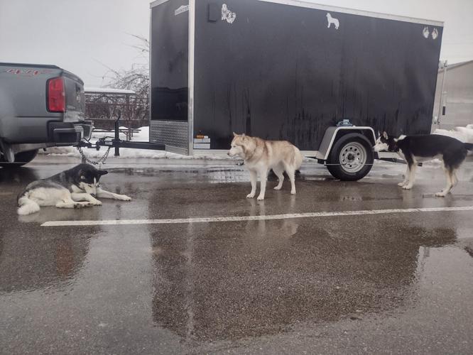 Anticipating Jimmy: Sun Prairie hosts Frozen Fest 2024 | Community ...